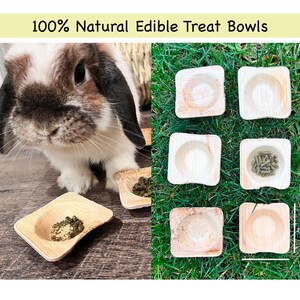 Edible 2" Square Bowls Natural Mini 2" Square Bowl Palm Leaf Bowl ...