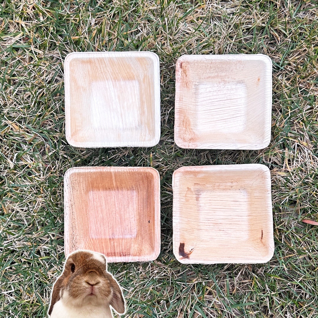 4 Square Palm Leaf Dish Mini Square Palm Leaf Bowl Chewable Bowl for ...