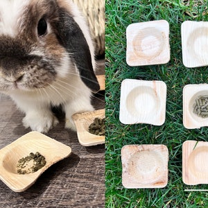 Edible 2" Square Bowls Natural Mini 2" Square Bowl Palm Leaf Bowl ...