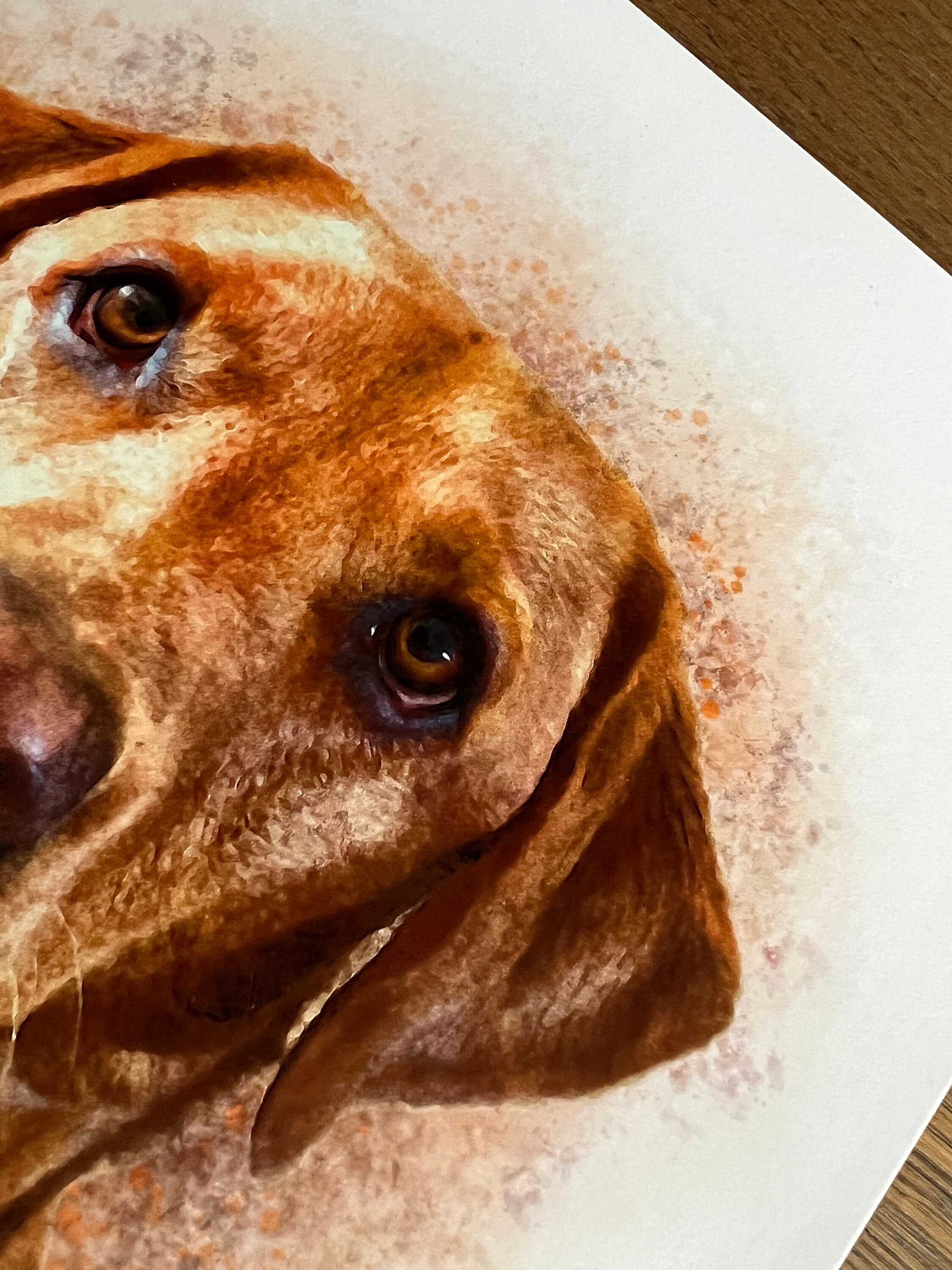 Fox Red Labrador Watercolour Splash Print Labrador, Dog, Art, Print ...