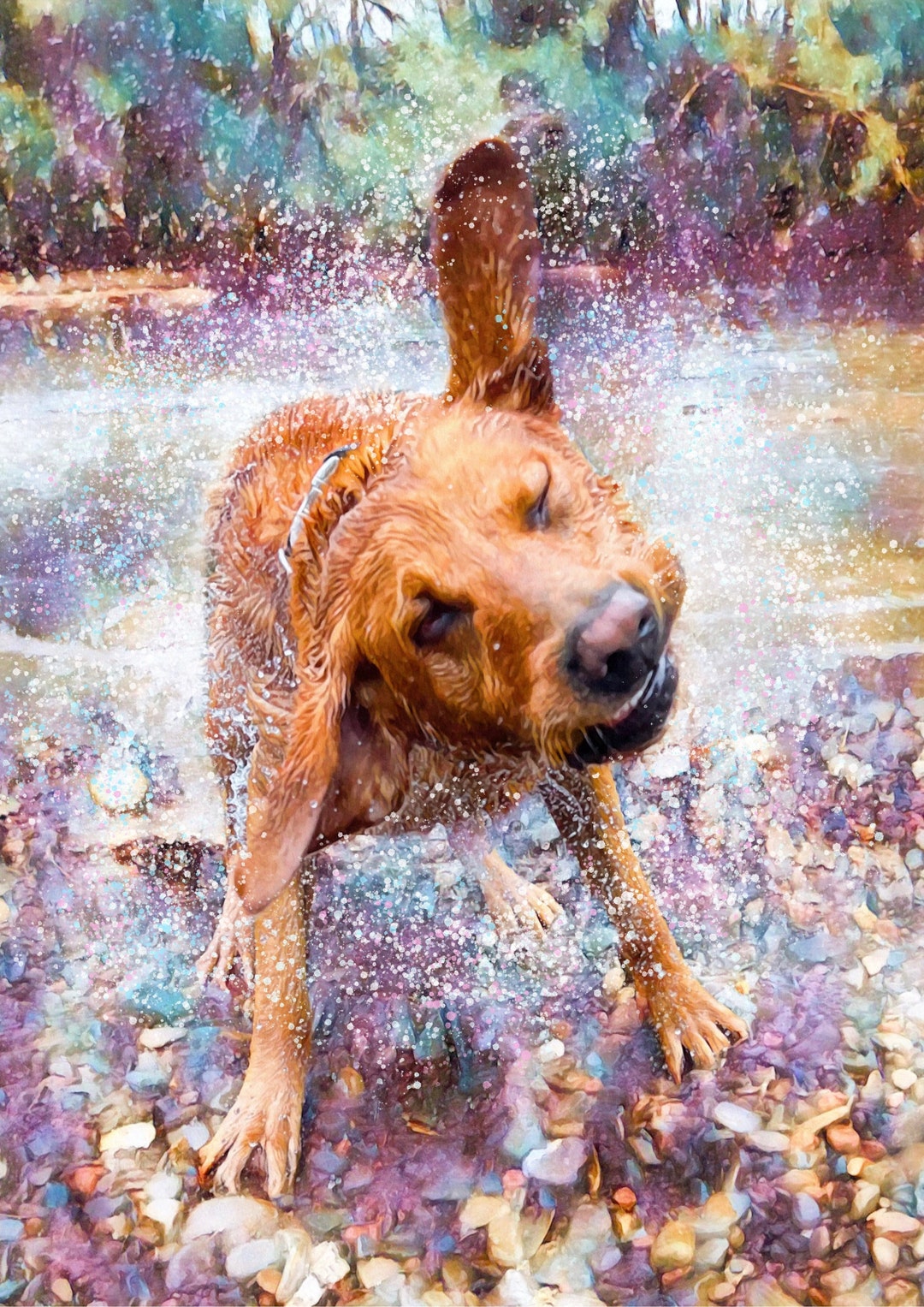 Fox Red Labrador Shaking Splash Print - Labrador, Puppy, Dog, Art ...