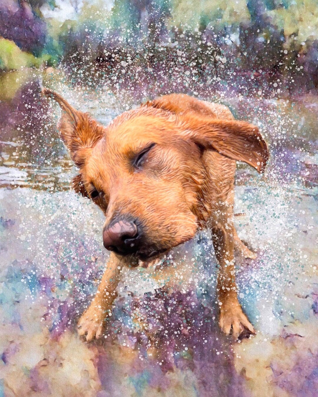 Fox Red Labrador Shaking Splash Print - Labrador, Puppy, Dog, Art ...