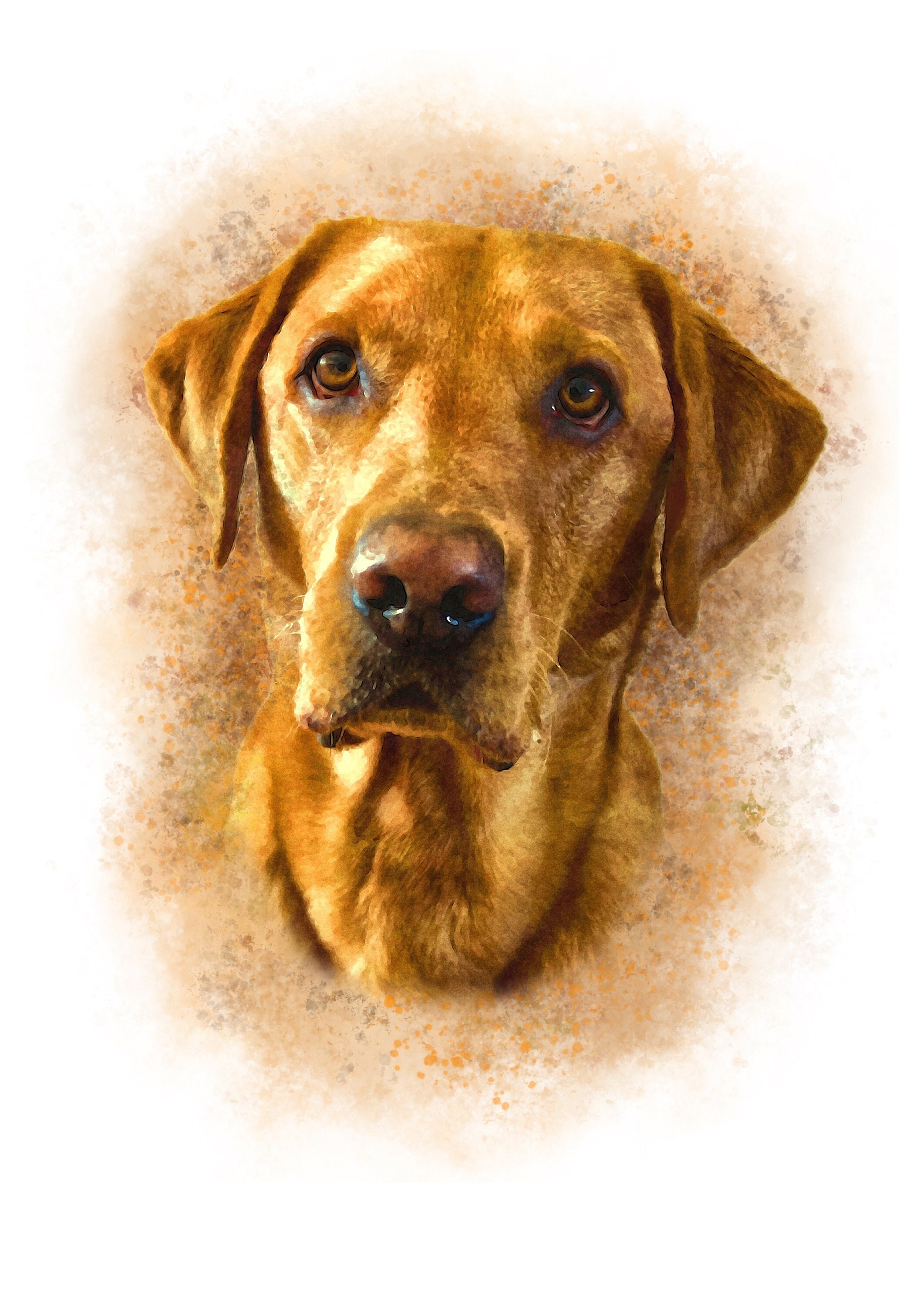 Fox Red Labrador Watercolour Splash Print Labrador, Dog, Art, Print ...