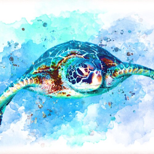 SEA TURTLE Turtle Art Print Sea Turtle Wall Art Sea Turtle - Etsy