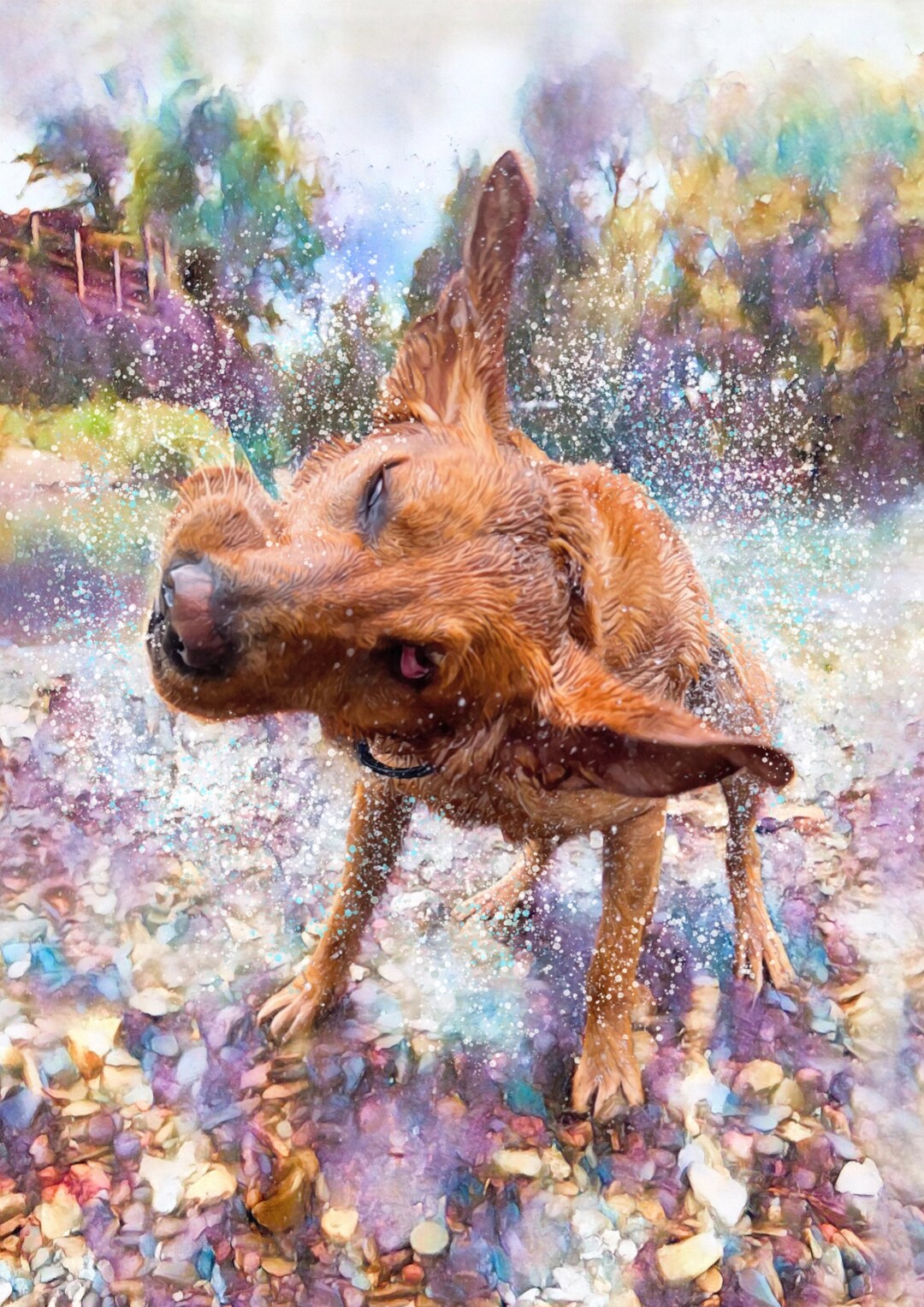 Fox Red Labrador Shaking Splash Print - Labrador, Puppy, Dog, Art ...