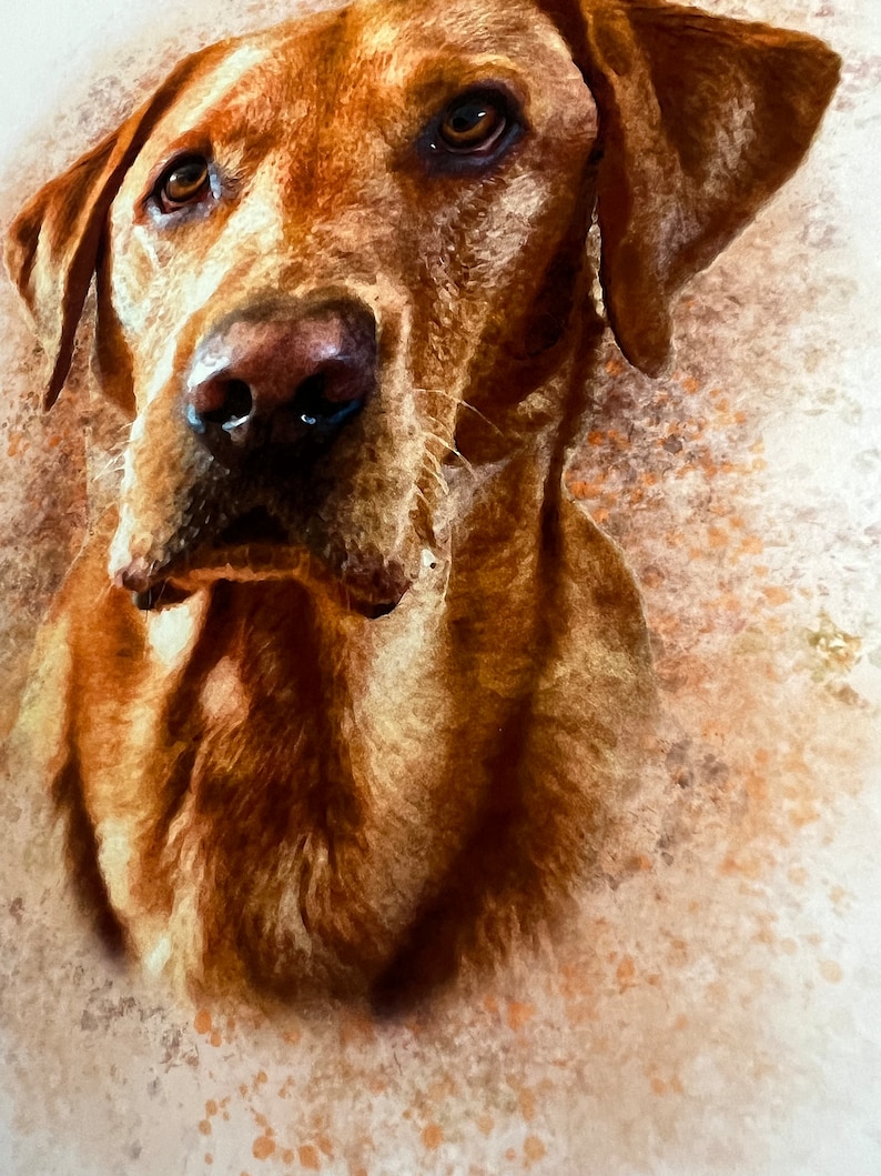 Fox Red Labrador Watercolour Splash Print Labrador, Dog, Art, Print ...