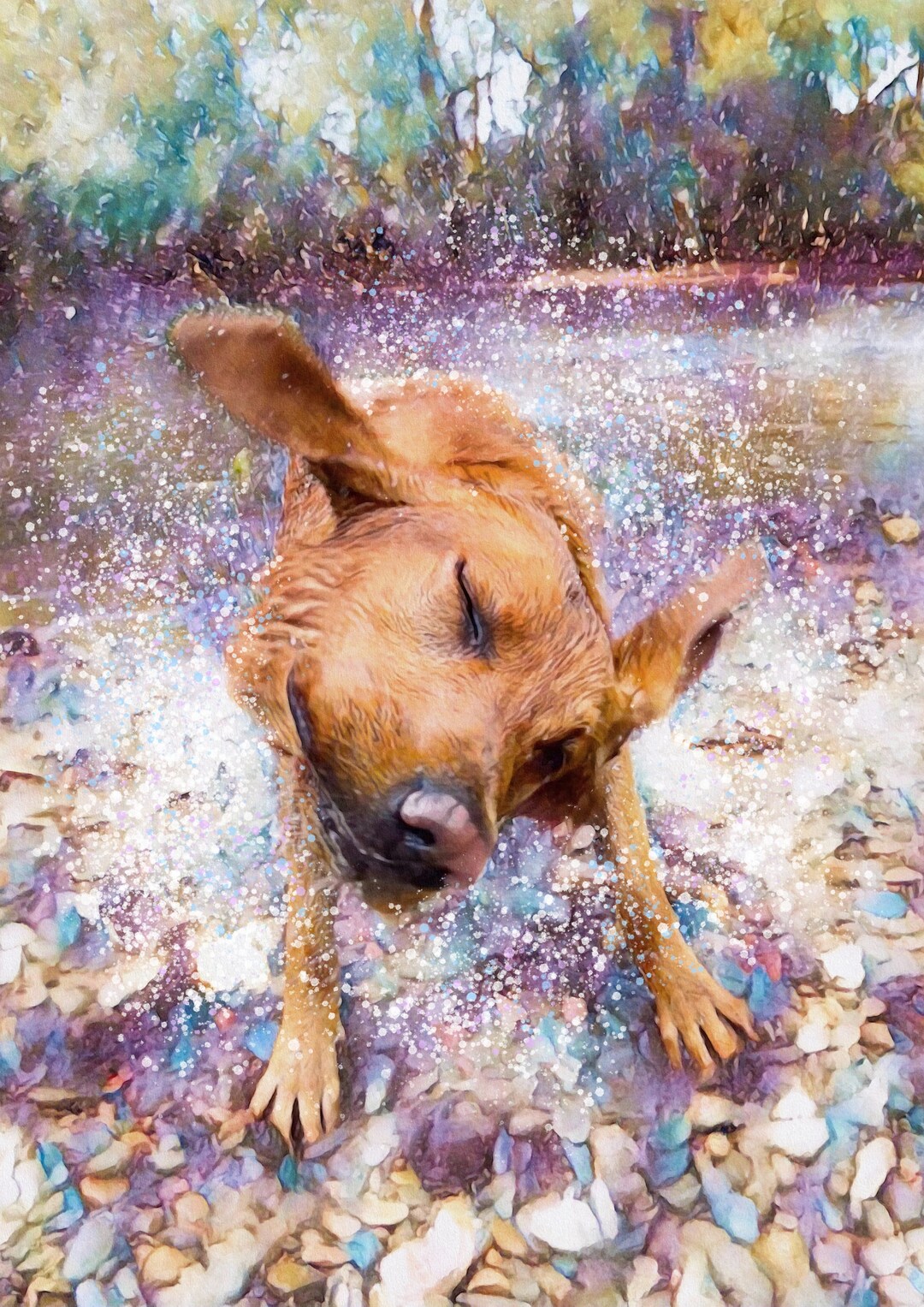 Fox Red Labrador Shaking Splash Print Labrador, Puppy, Dog, Art, Print ...
