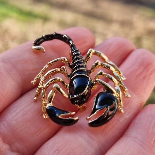 Scorpion Brooch - Etsy