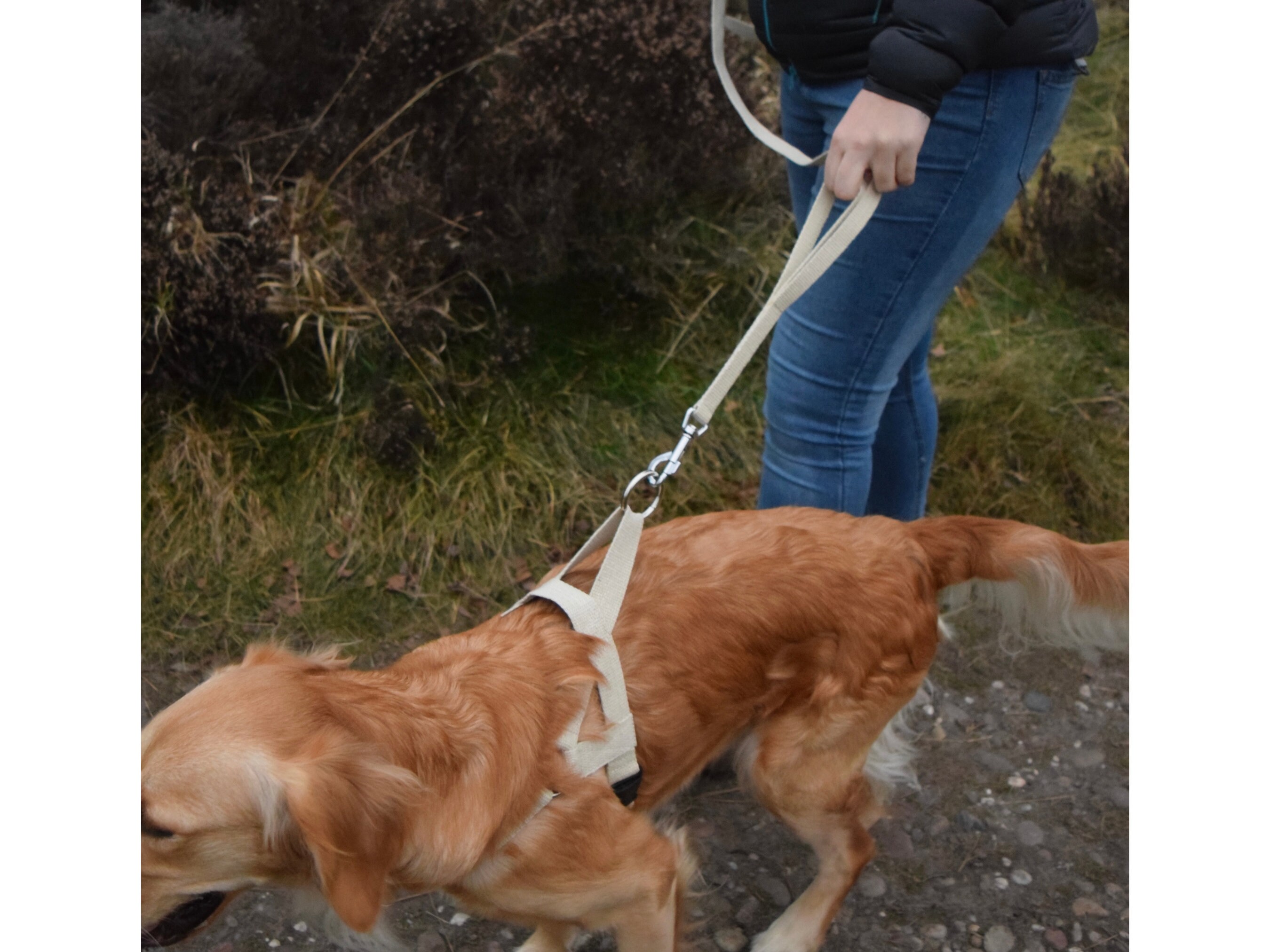 Short Dog Lead // Hemp Dog Lead Girl Dog Lead Strong Lead - Etsy UK