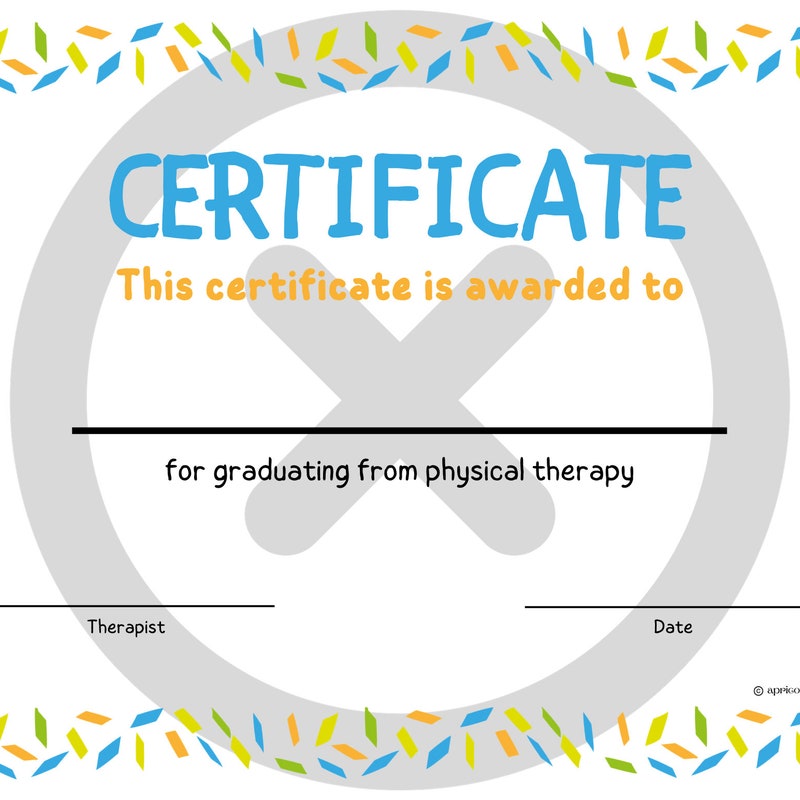 Physical Therapy Graduation Certificate - Etsy