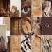Brown Aesthetic Wall Collage Kit 100 Pcs Room Decor Digital Download - Etsy