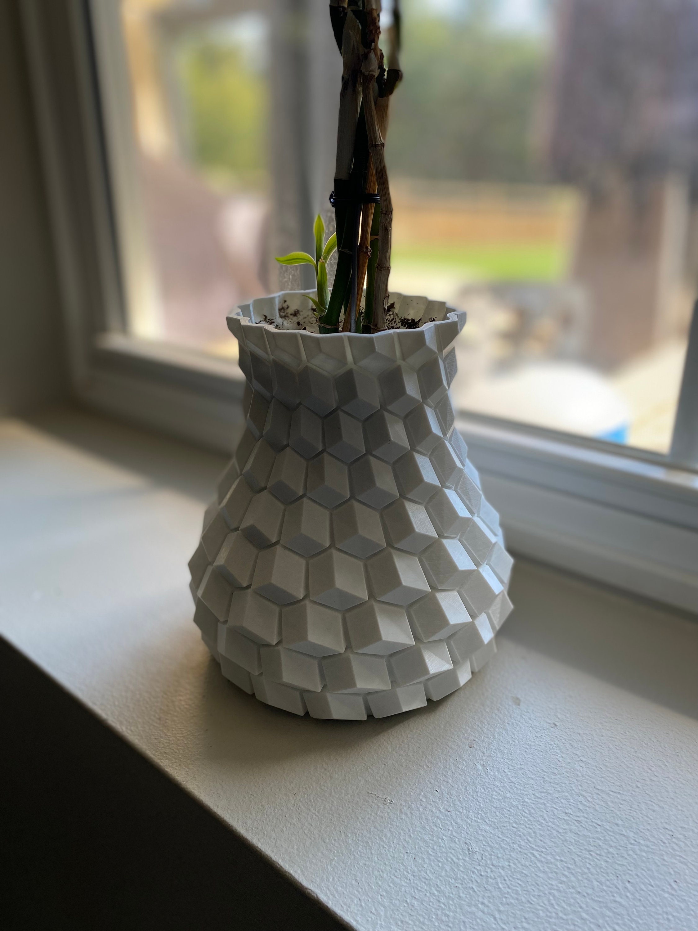 Hypno Flower Pot - Etsy