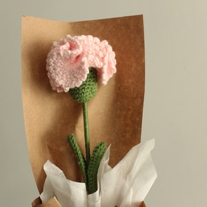 Crochet Carnation Flower Bouquet Handmade Knitted Carnations - Etsy