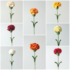 Crochet Carnation Flower Bouquet - Handmade Crocheted Carnations - Etsy