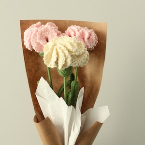Crochet Carnation Flower Bouquet - Handmade Crocheted Carnations - Etsy