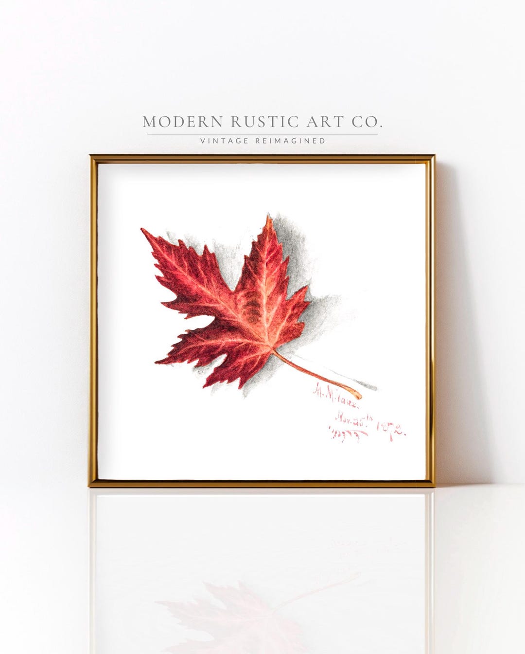 Red Maple Leaf Print • Vintage Victorian Maple Leaf Poster • Canadian ...