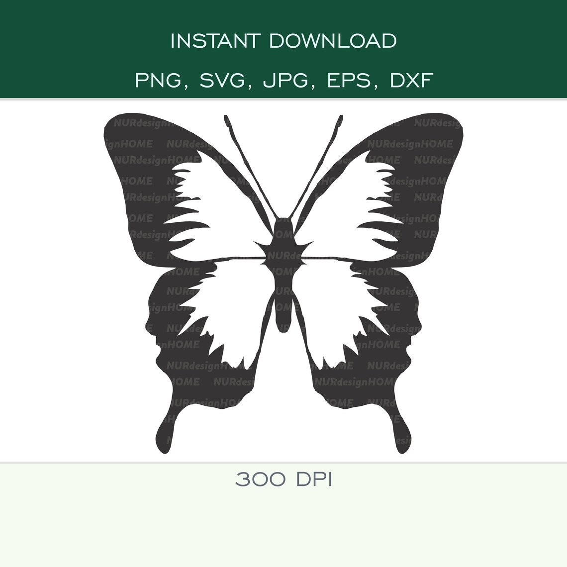 Butterfly Template - SVG, PNG, DXF, Eps, Jpg - Digital Instant Download ...