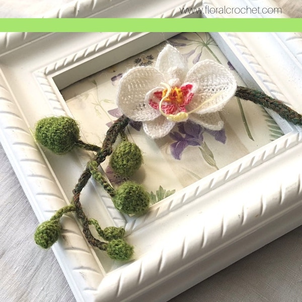 Crochet Orchid - Etsy