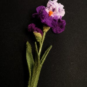 Crochet Pattern - BEARDED IRIS Flower Bouquet - Level 9 - Etsy