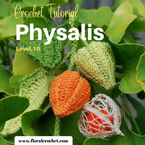 Crochet Video - PHYSALIS Mini Bouquet Step by Step Tutorial - Level 10 - Etsy