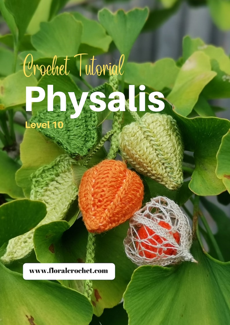 Crochet Video PHYSALIS Mini Bouquet Step by Step Tutorial - Etsy