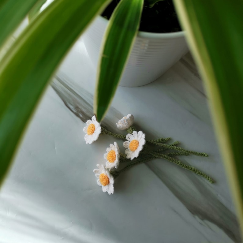 Crochet Pattern DAISY Mini Bouquet Level 3 - Etsy