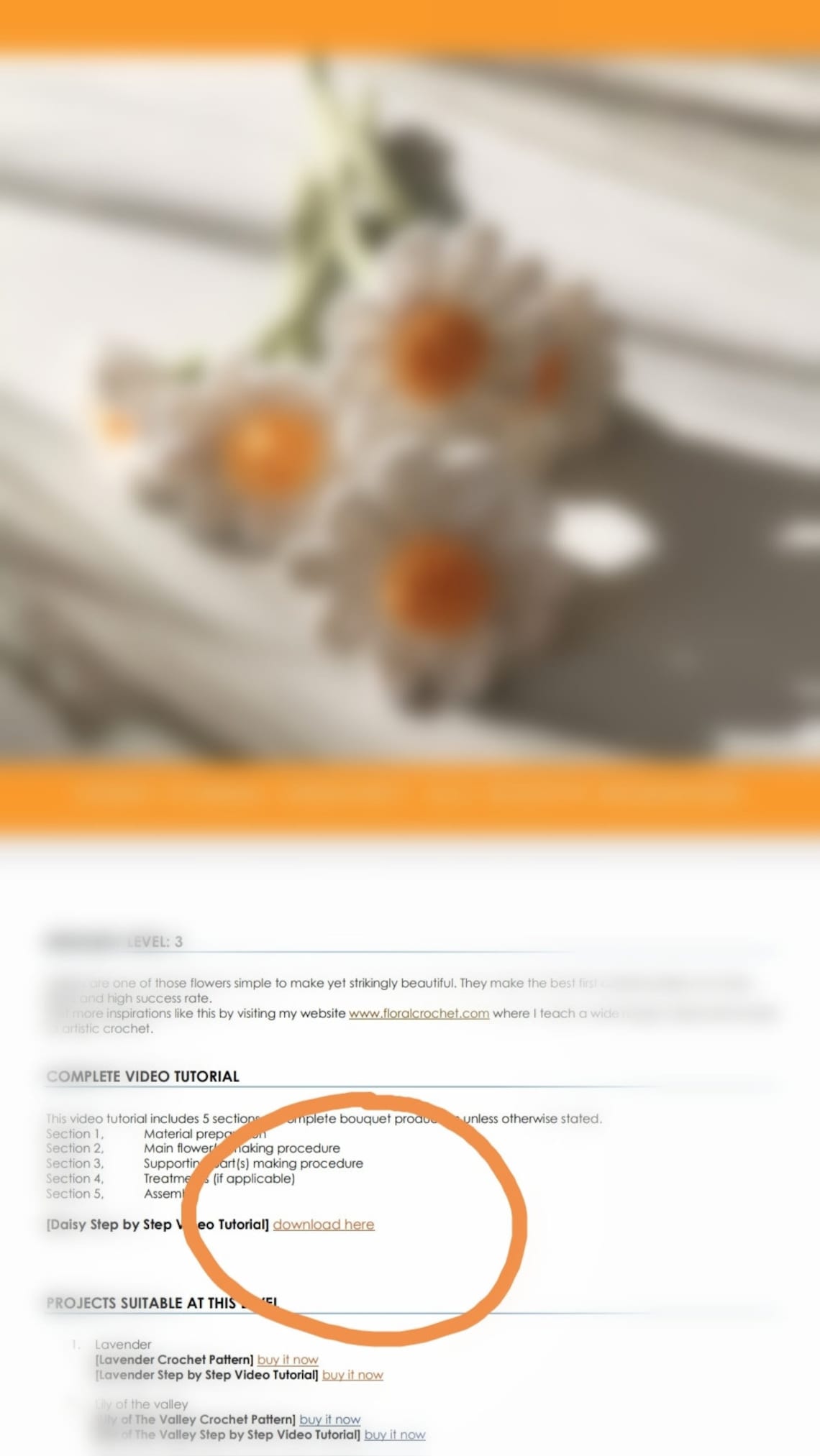 Crochet Video PHYSALIS Mini Bouquet Step by Step Tutorial - Etsy