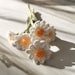 Crochet Pattern DAISY Mini Bouquet Level 3 - Etsy