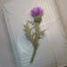 Crochet Pattern - THISTLE Flower Bouquet - Level 9 - Etsy