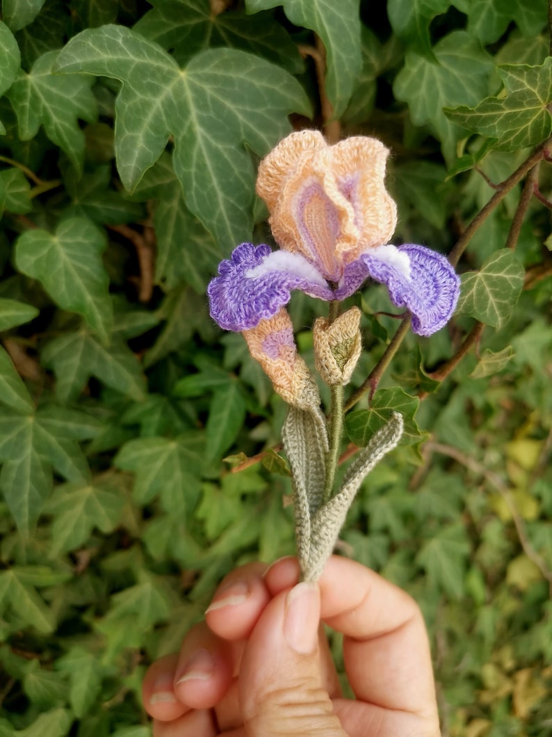 Crochet Pattern - BEARDED IRIS Flower Bouquet - Level 9 - Etsy