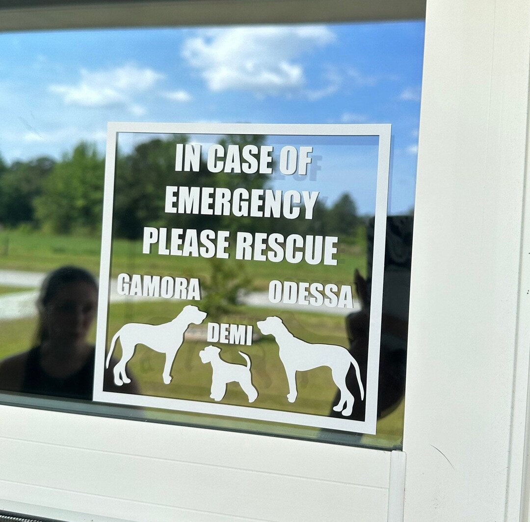 Pet Emergency Decal, Pet Emergency Sticker, in Case of Emergency, Pet ...