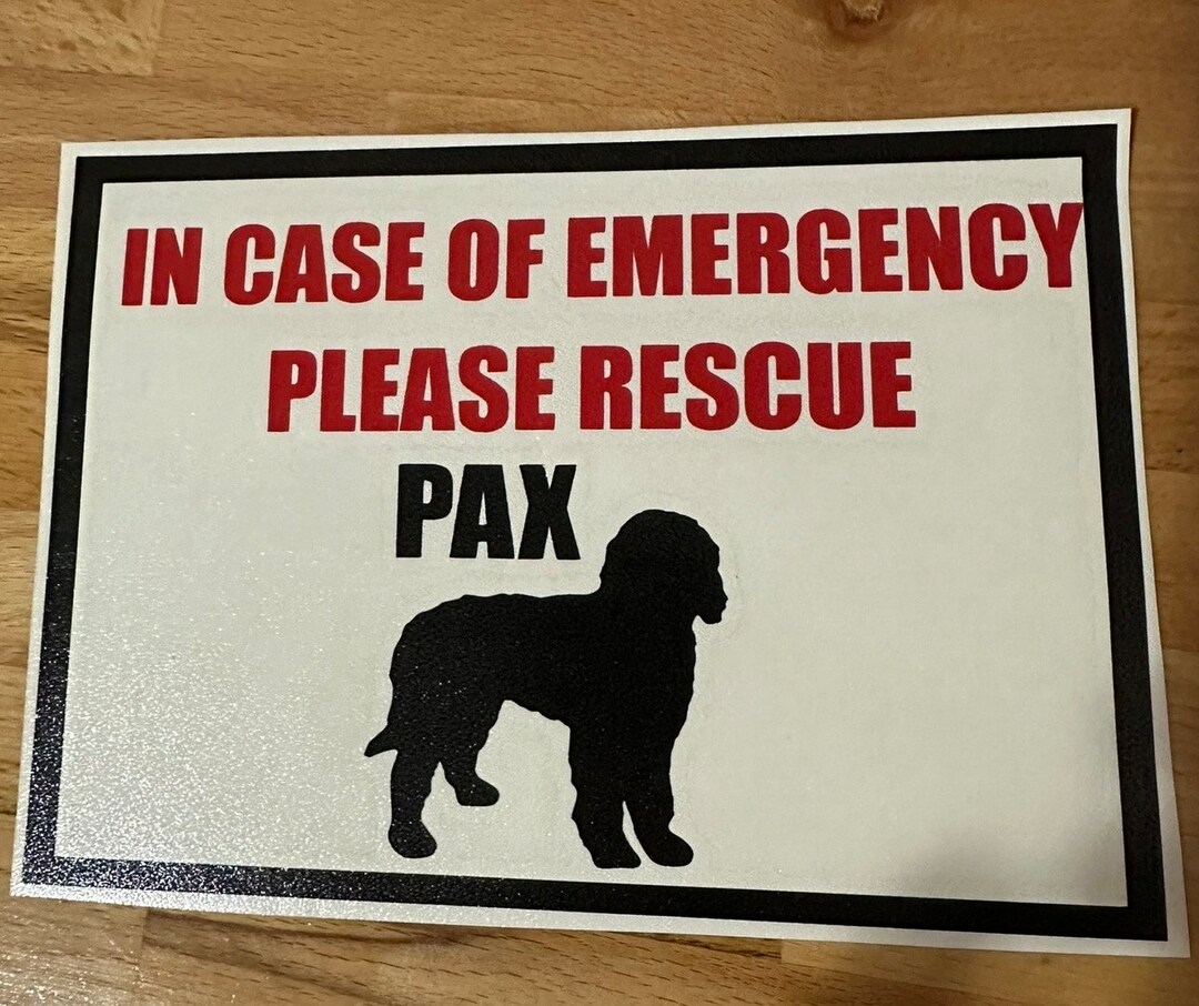 Pet Emergency Decal, Pet Emergency Sticker, in Case of Emergency, Pet ...