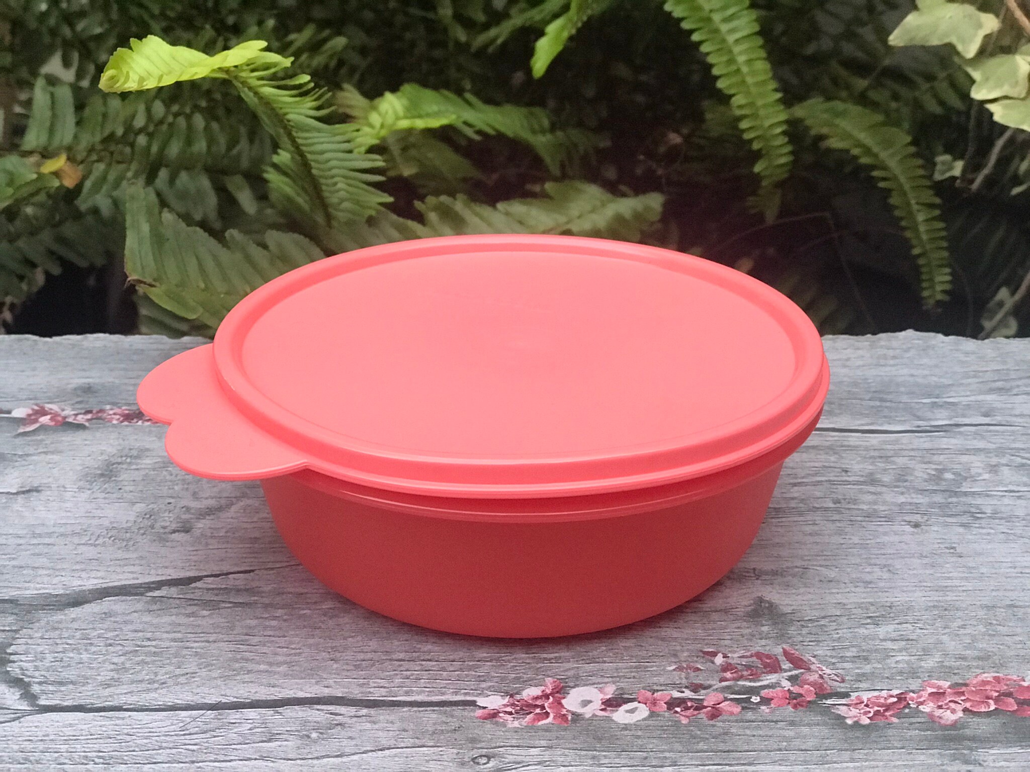 Tupperware Small Modular Bowls Round Containers Set of 2 2 - Etsy