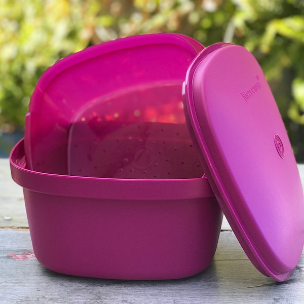 Tupperware Multi Server Container - Etsy