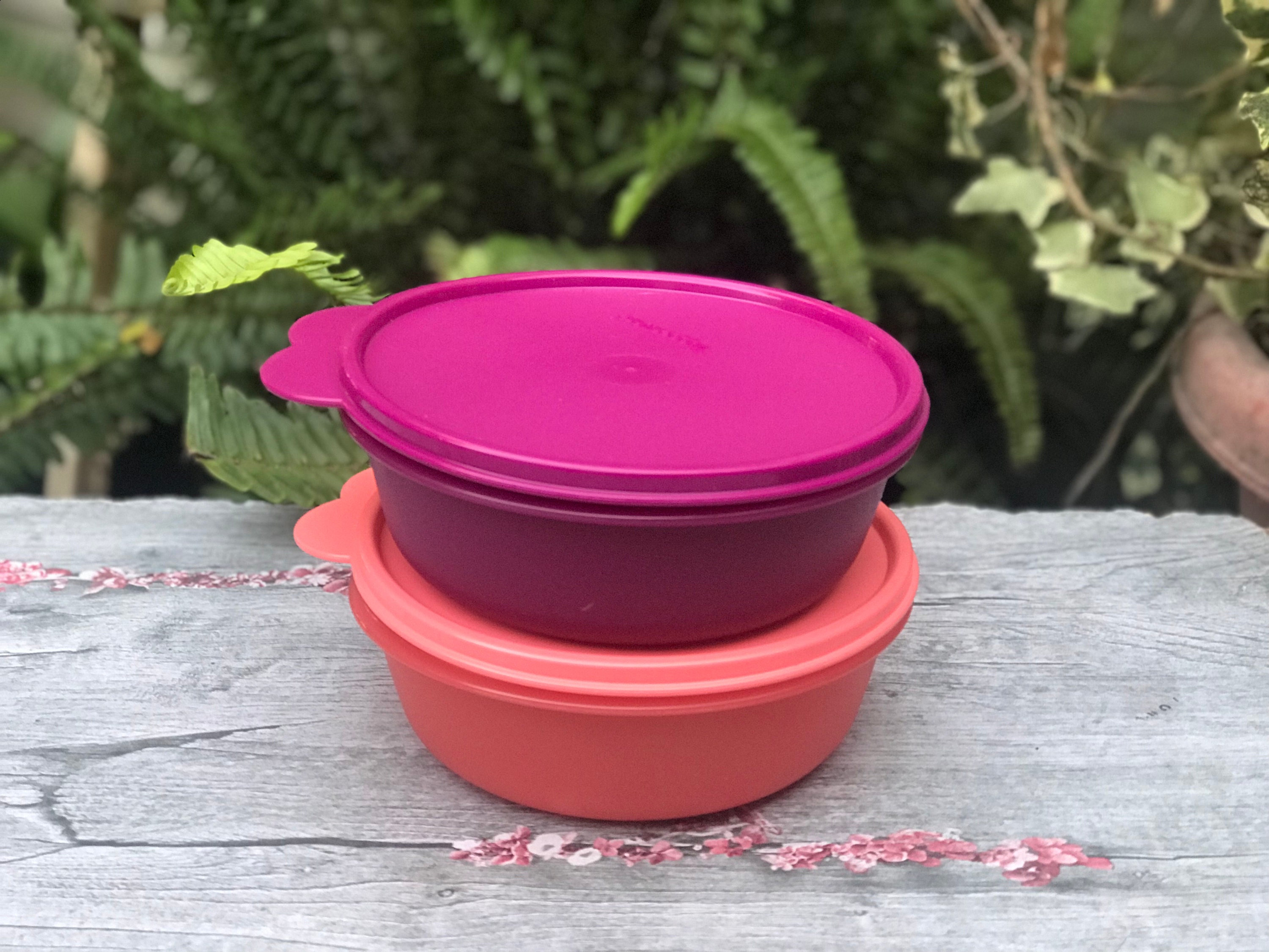 Tupperware Small Modular Bowls Round Containers Set of 2 2 - Etsy