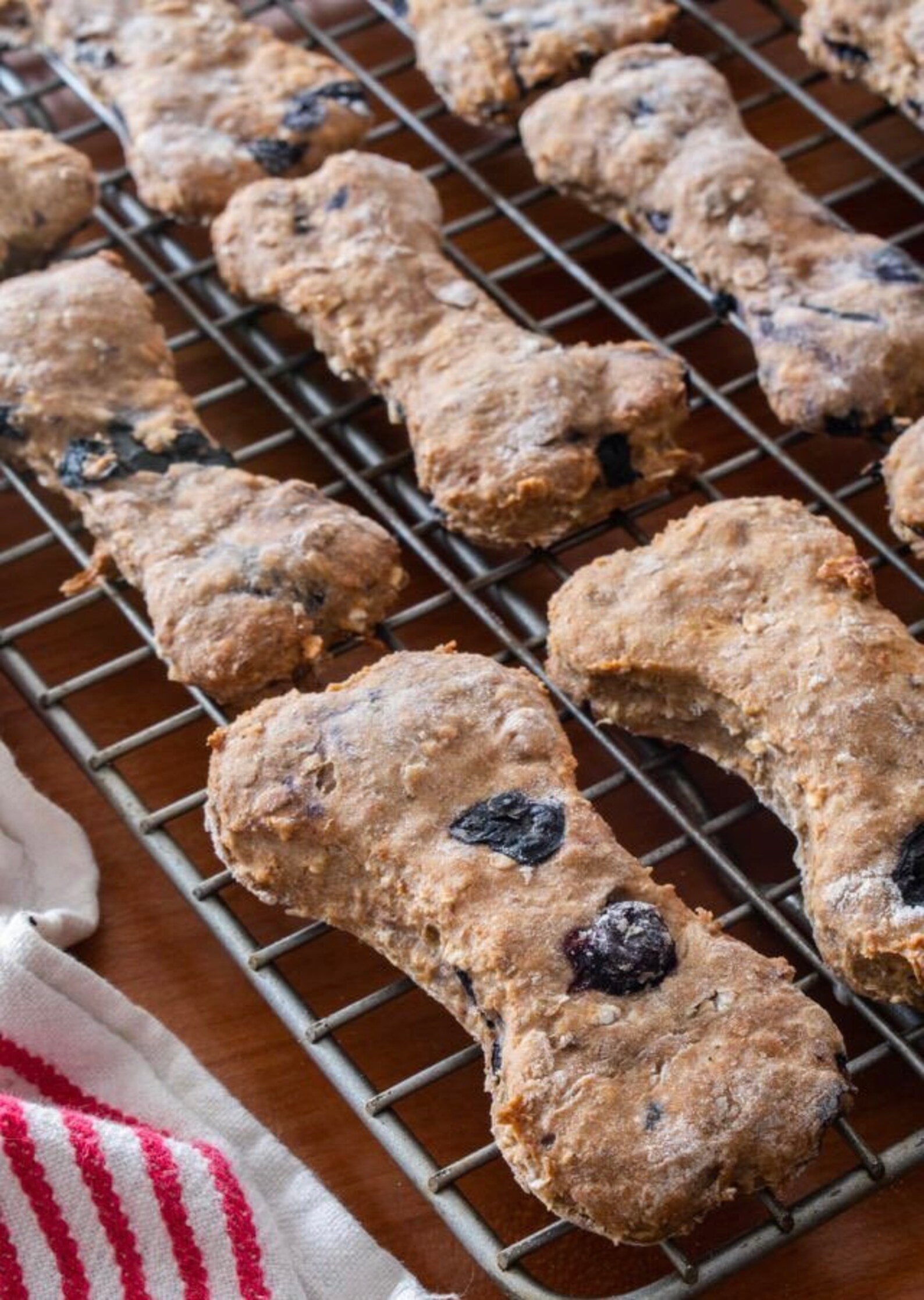 PB & Bloob Bones - Etsy