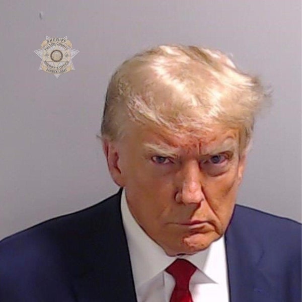 Donald Trump Mugshot Poster - Etsy