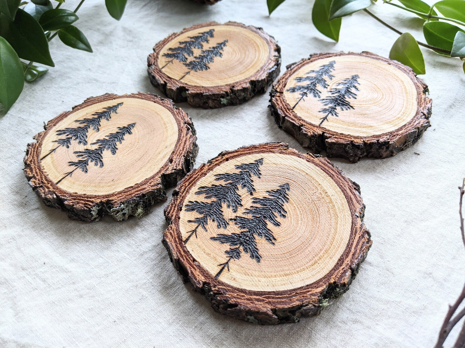 Westcoast Trees Coaster Set, Pyrography - Etsy