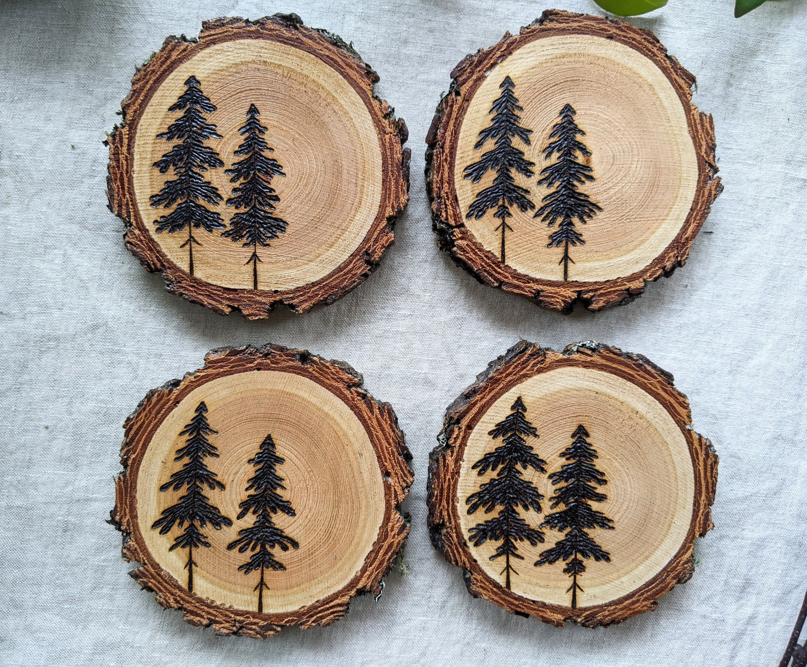 Westcoast Trees Coaster Set, Pyrography - Etsy