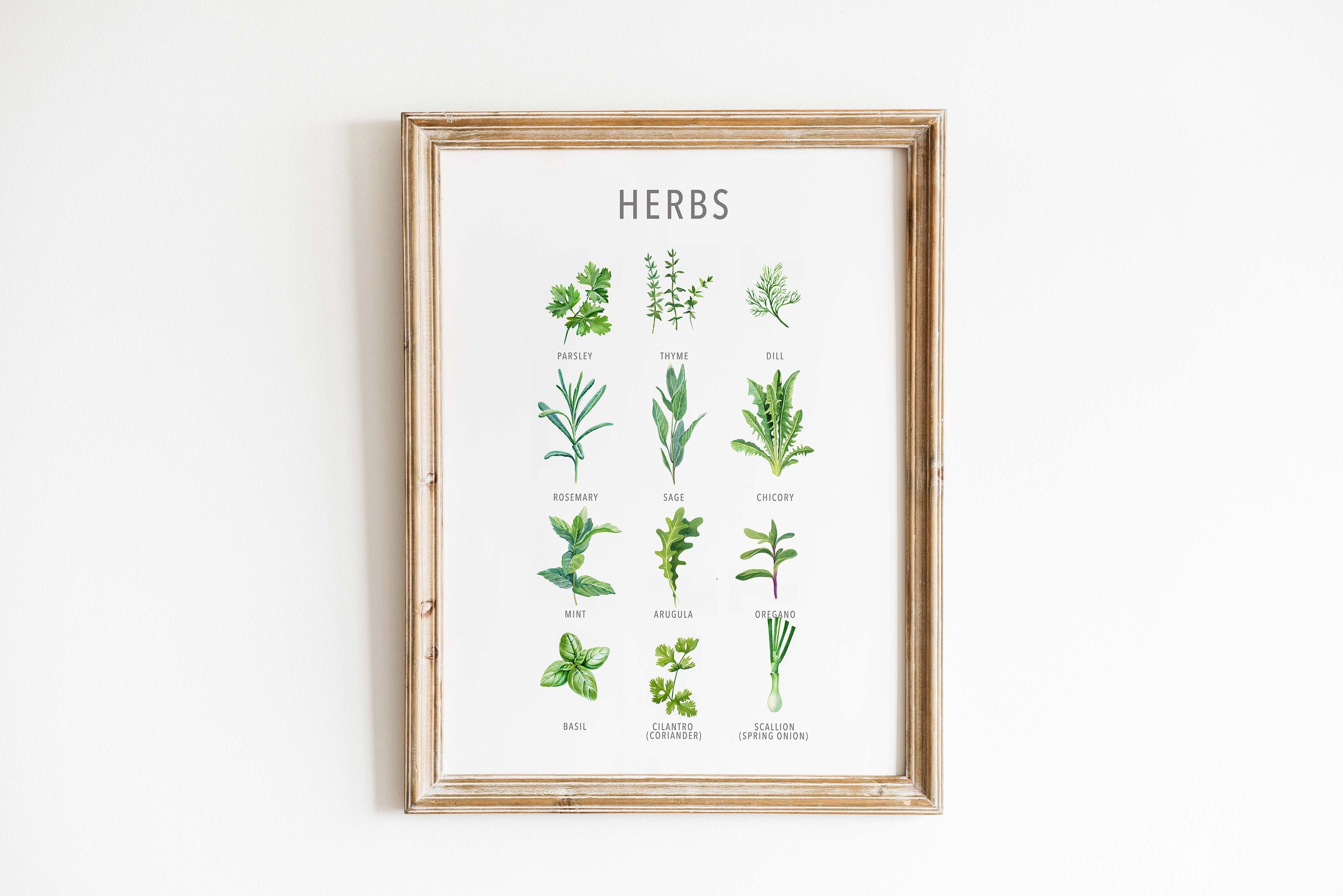 Garden Herb Print Kitchen Herbs Guide Cooking Herbs Poster - Etsy
