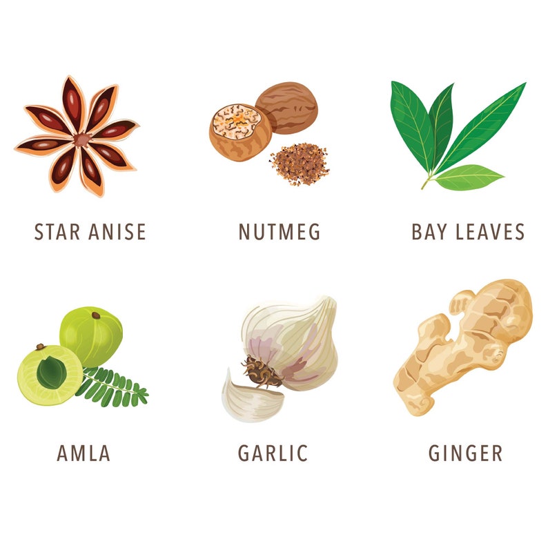 Types of Spices Print | Spices Guide Poster | Spice Chart | Cooking ...