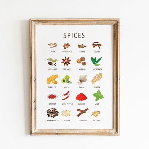 Types of Spices Print Spices Guide Poster Spice Chart - Etsy