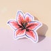 Lily Vinyl Sticker Illustrated Spring Flower Decal for - Etsy