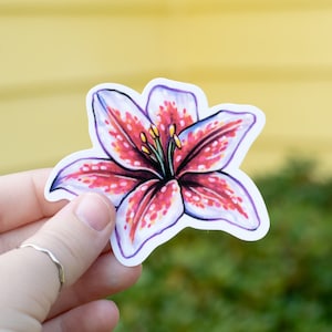 Lily Vinyl Sticker Illustrated Spring Flower Decal for - Etsy