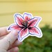 Lily Vinyl Sticker Illustrated Spring Flower Decal for - Etsy