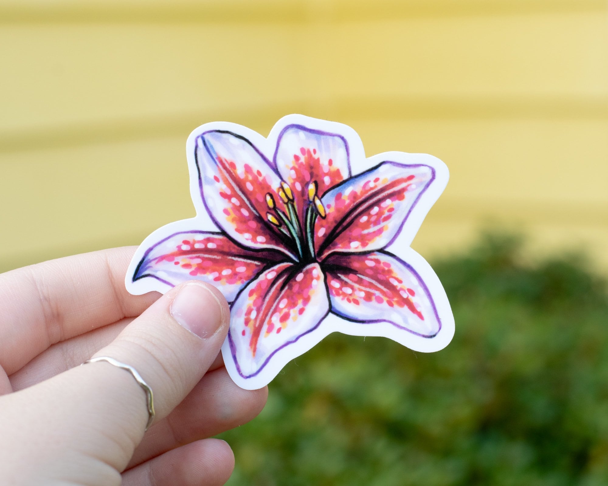 Lily Vinyl Sticker Illustrated Spring Flower Decal for - Etsy