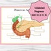 Organ Anatomy Diagram Bundle for Biology, Medical and Nursing Students ...