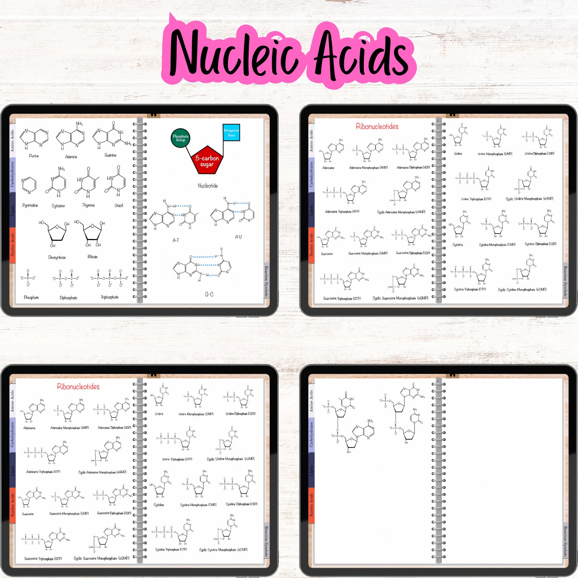 Biochemistry Molecules Sticker Set With Reaction Arrows and - Etsy