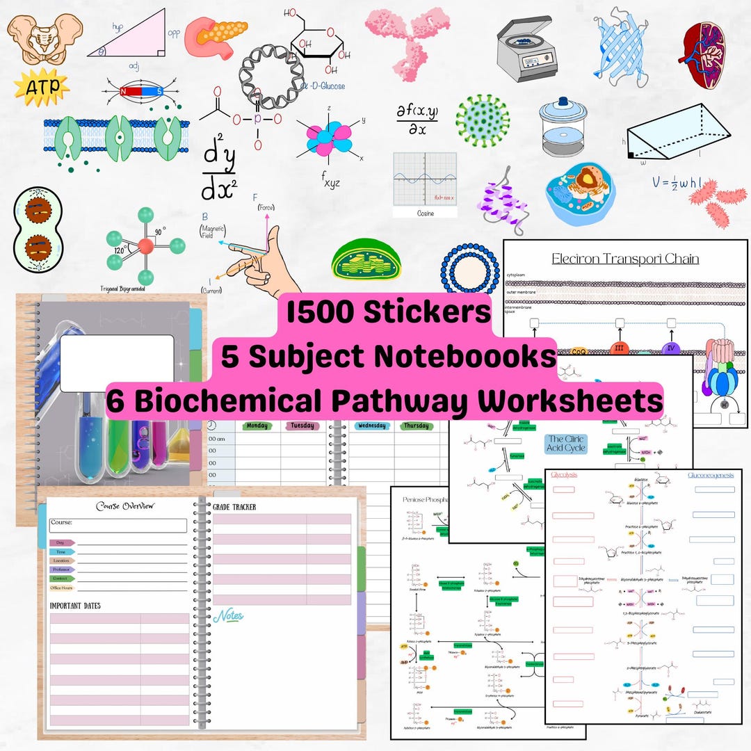 Ultimate Biochemistry Student Digital Bundle – 1500 Stickers, 5 Five ...