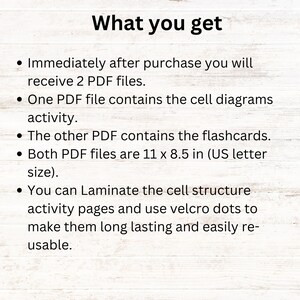 Interactive Cell Structure Activity Set With Flashcards - Etsy